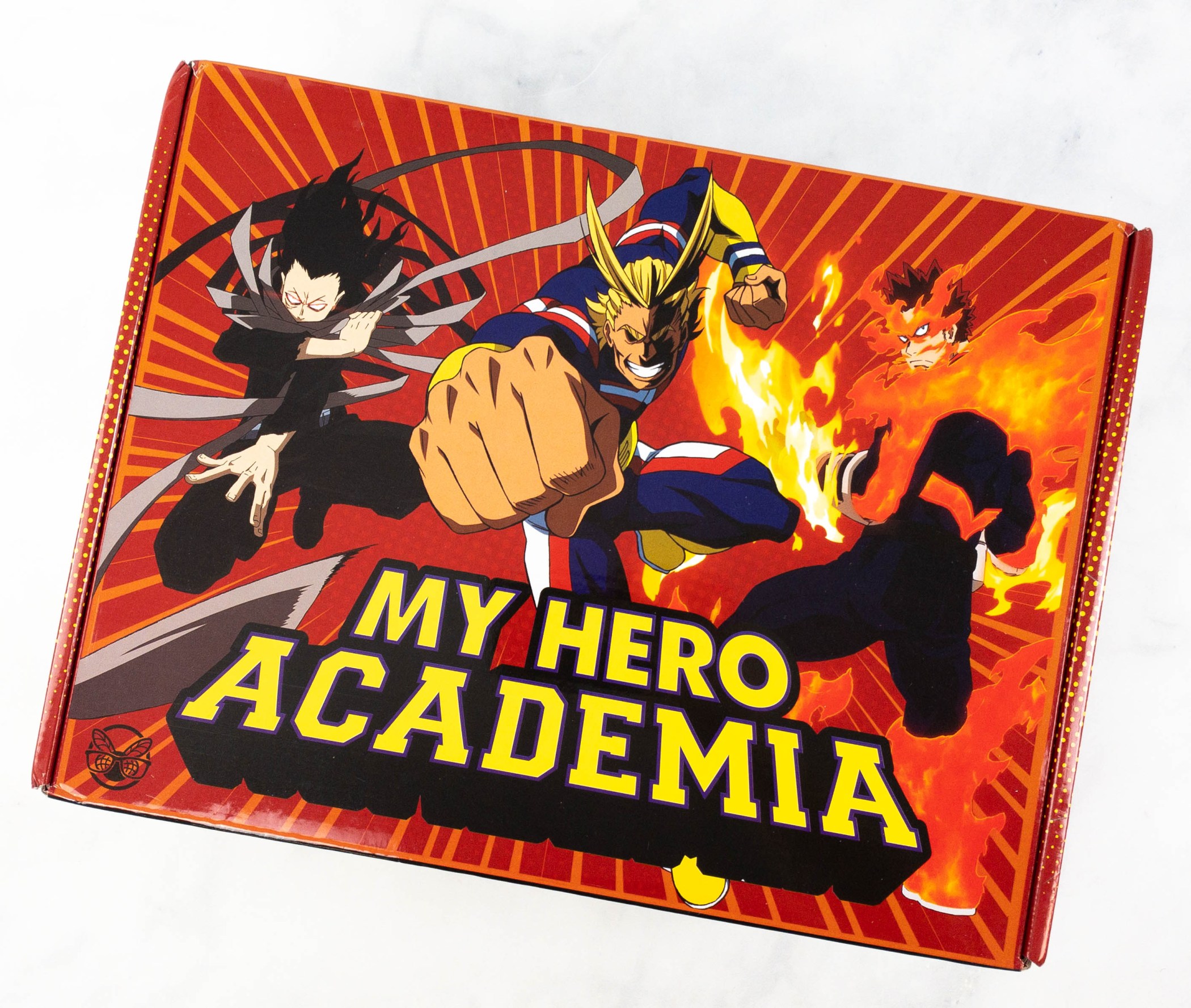My Hero Academia Box Review: Spring 2021 Pro Heroes! - Hello Subscription