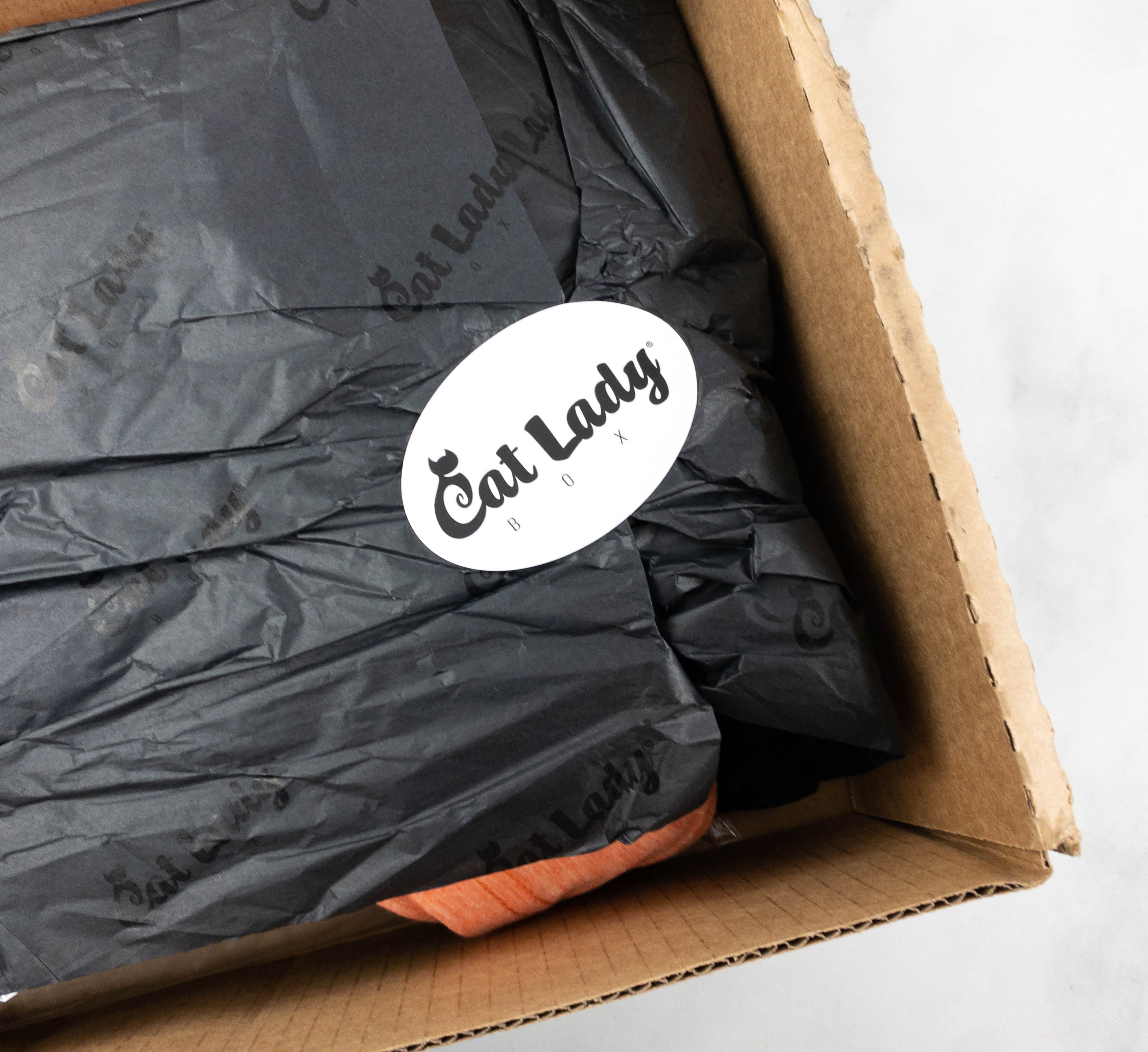 Cat Lady Box July 2021 Subscription Box Review - MEW ARE MY SUNSHINE ...