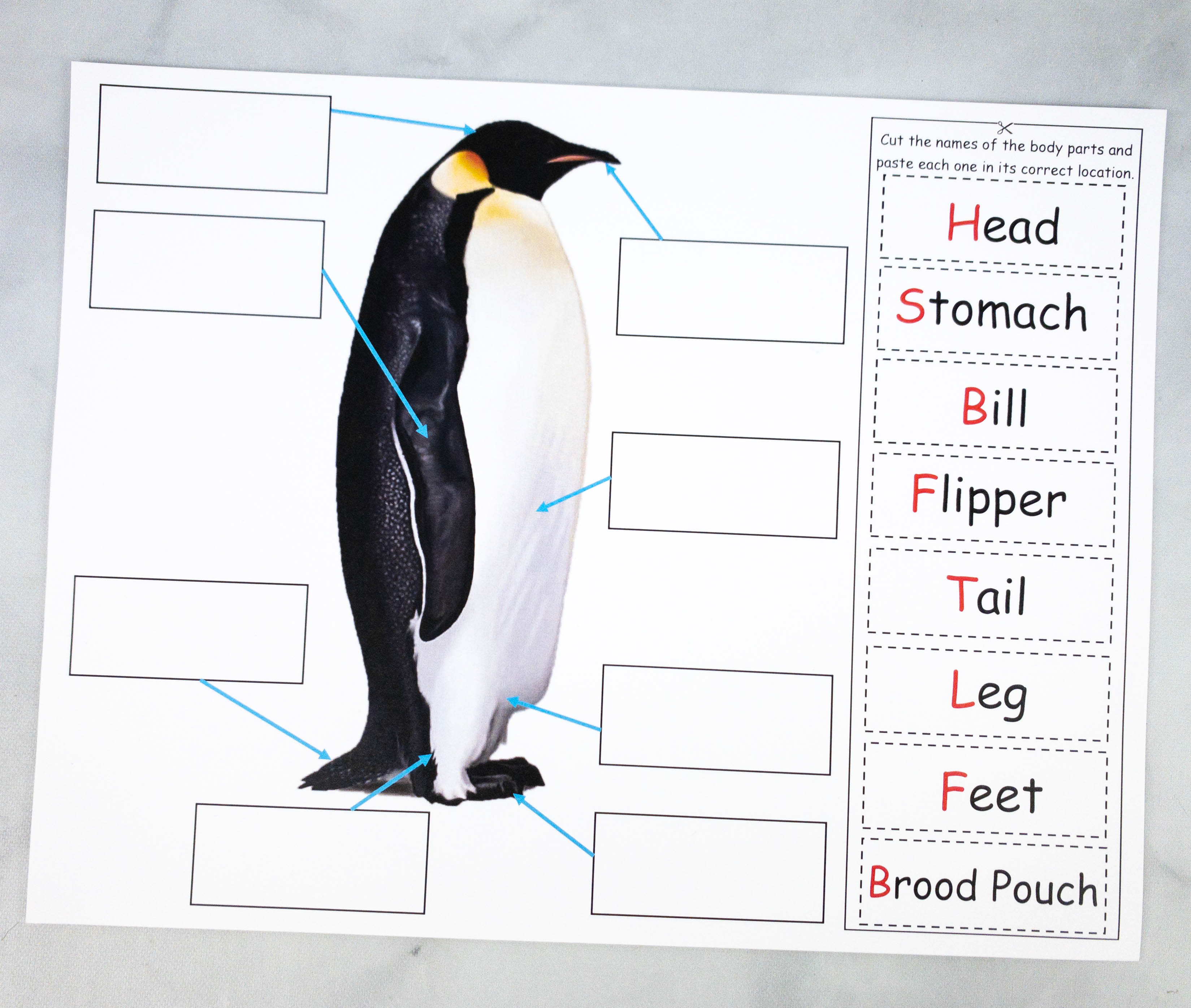 Ivy Kids Box Review + Coupon - The Emperor's Egg - Hello Subscription