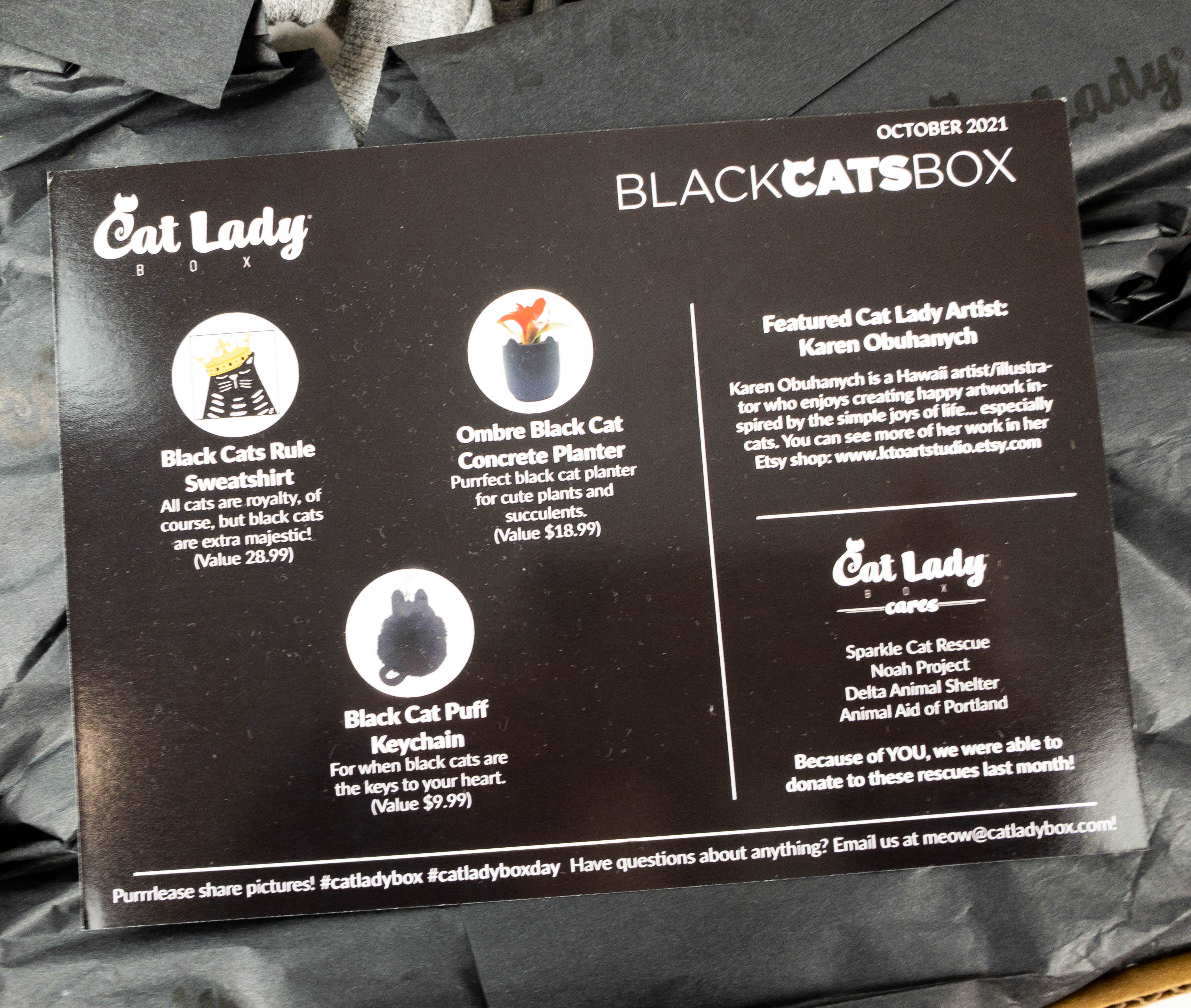 Cat Lady Box October 2021 Subscription Box Review - BLACK CATS BOX ...