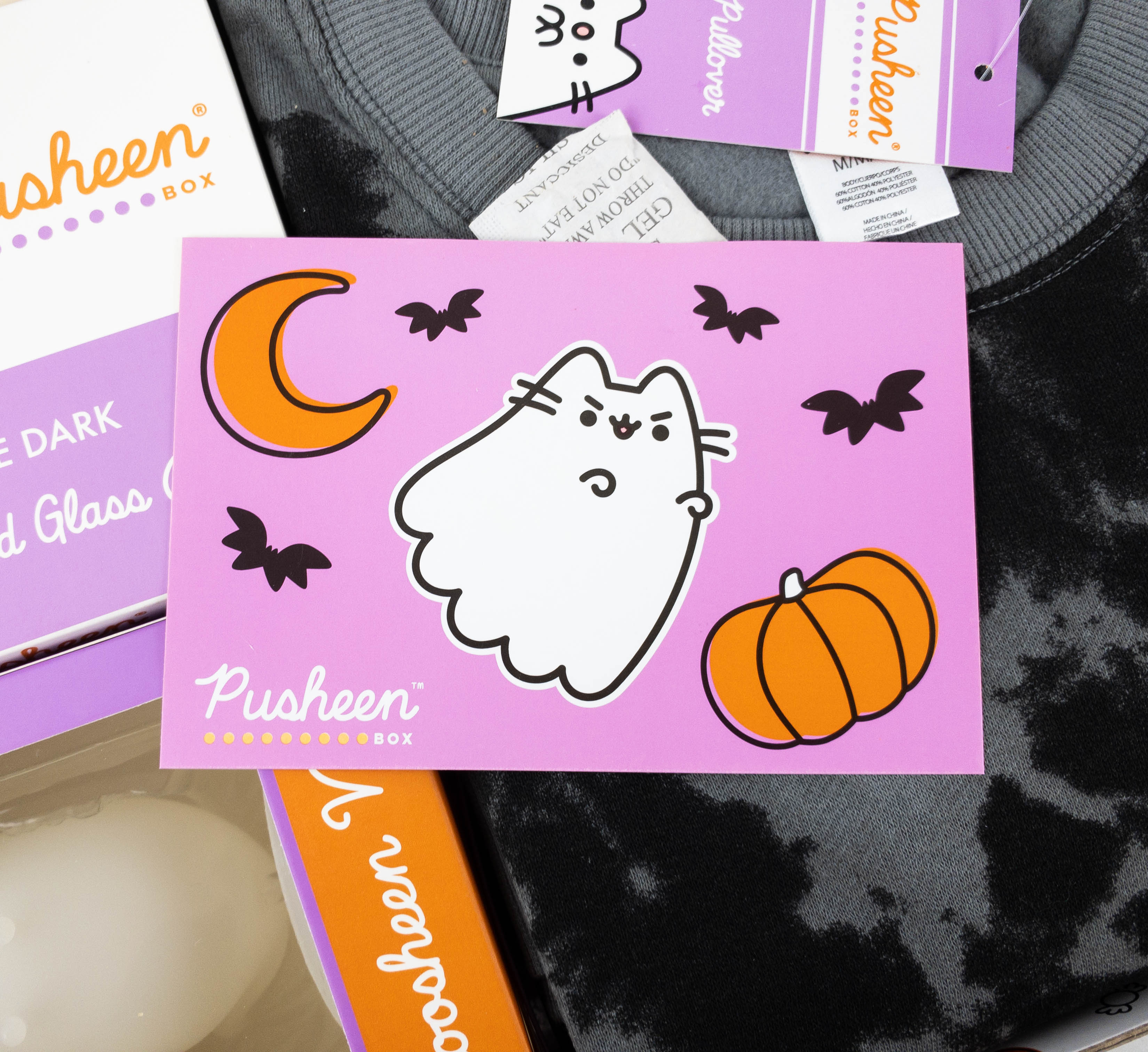 Pusheen Box Review - Fall 2021 - Hello Subscription