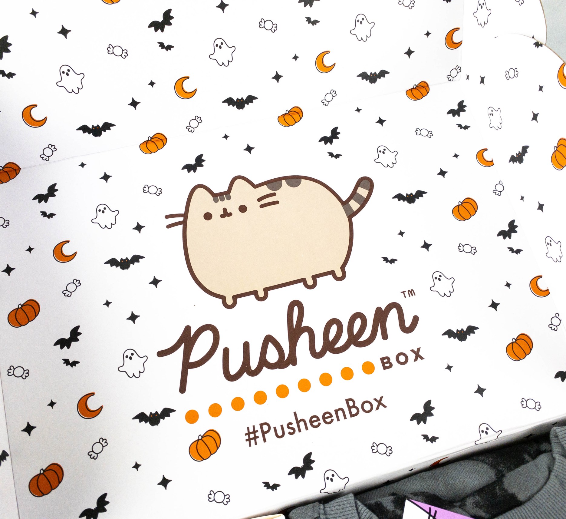Pusheen Box Review - Fall 2021 - Hello Subscription