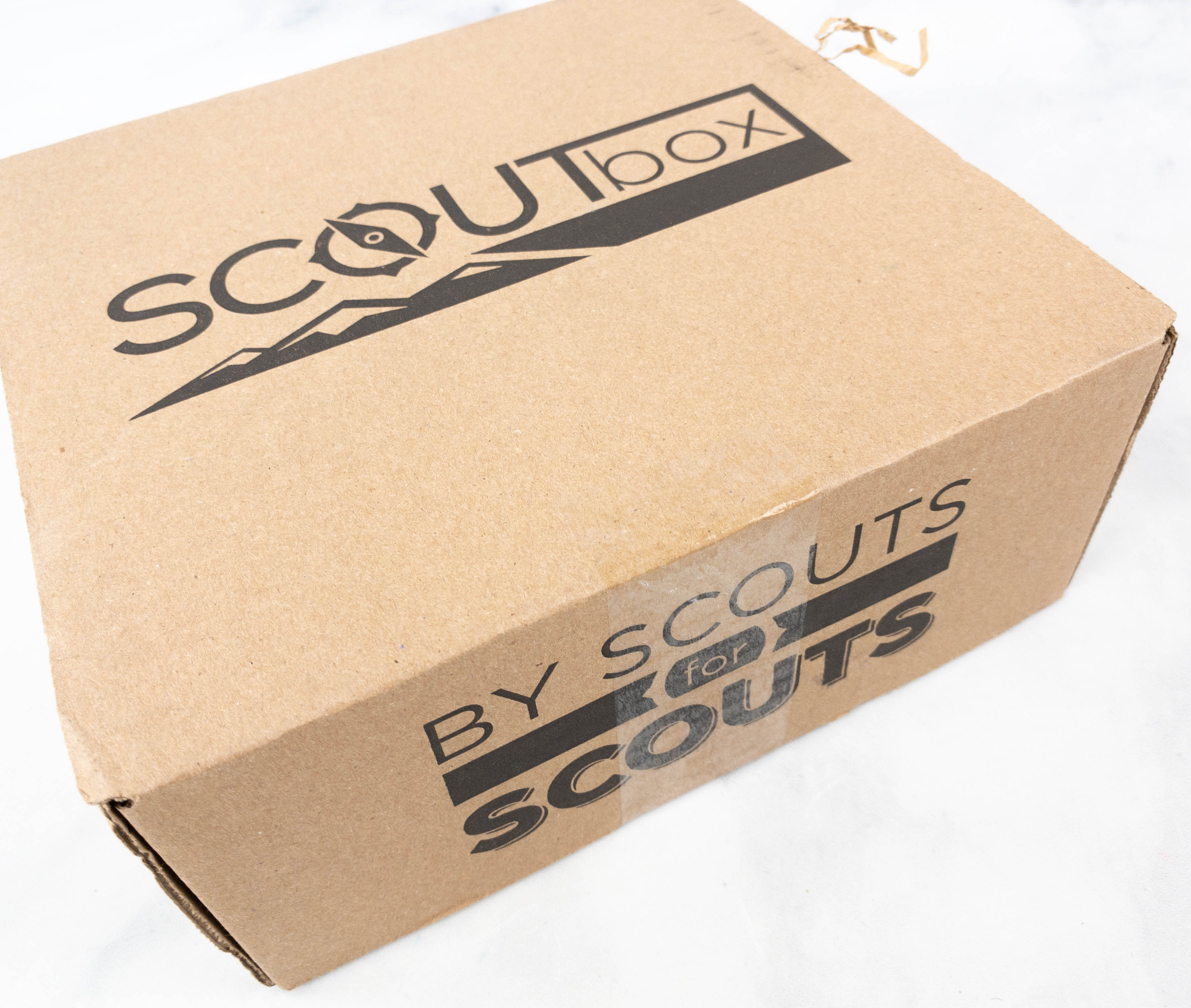 SCOUTbox Review + Coupon - October 2021 - Hello Subscription