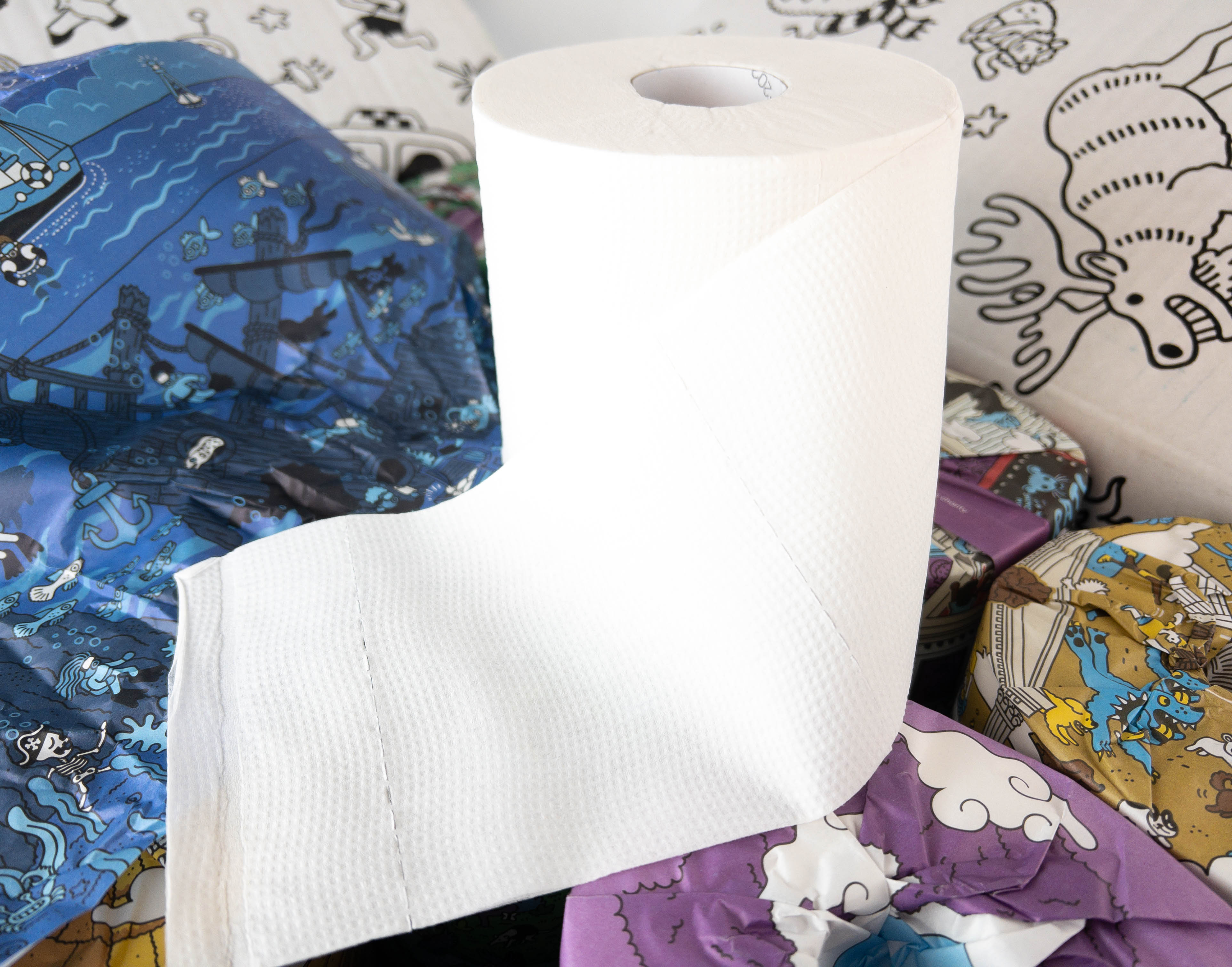 Who Gives A Crap Limited Edition Where’s The Loo Bamboo Toilet Paper Is ...