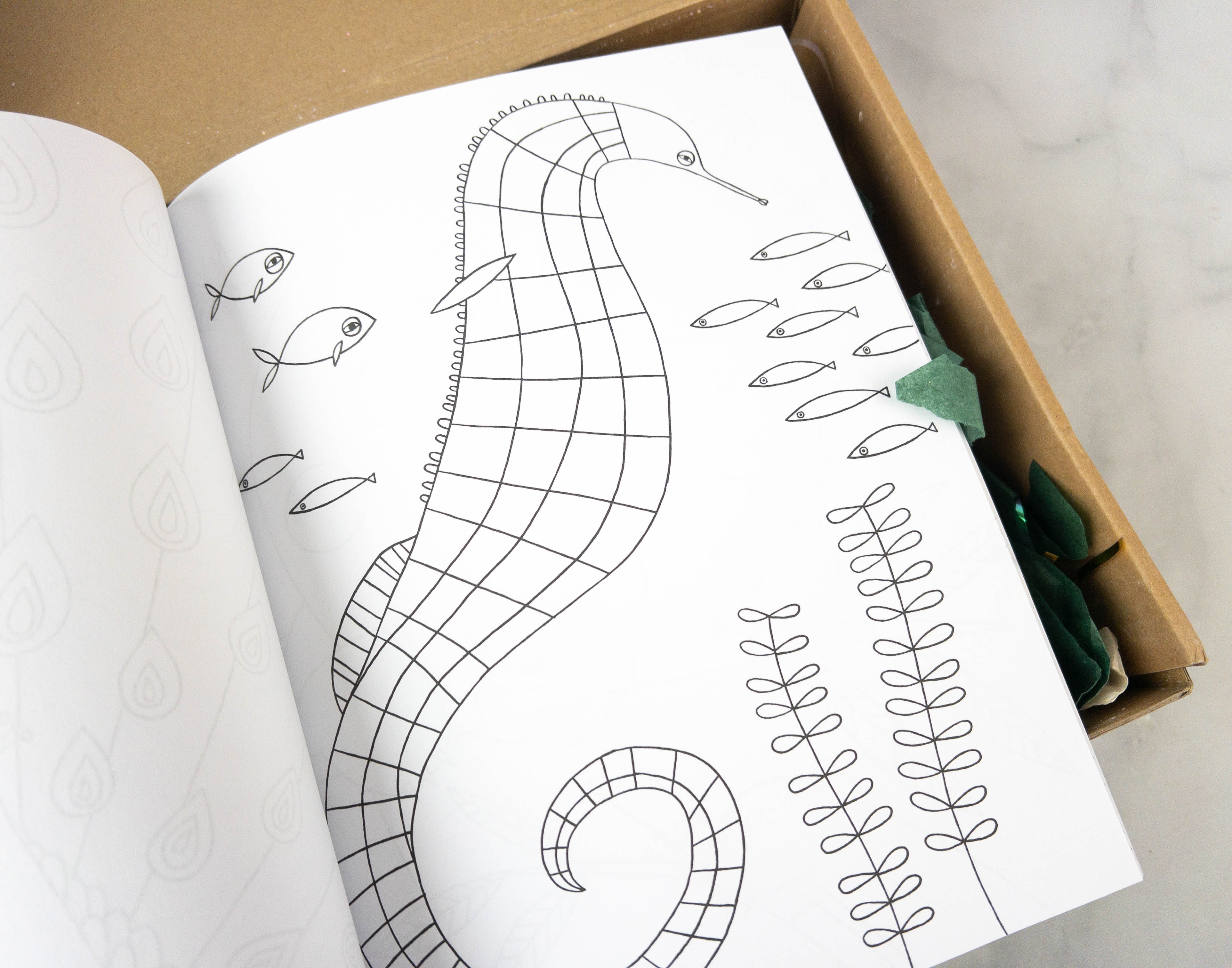 Howdy Baby Box: The Little Seeds Of Learning For Your Adorable Little ...