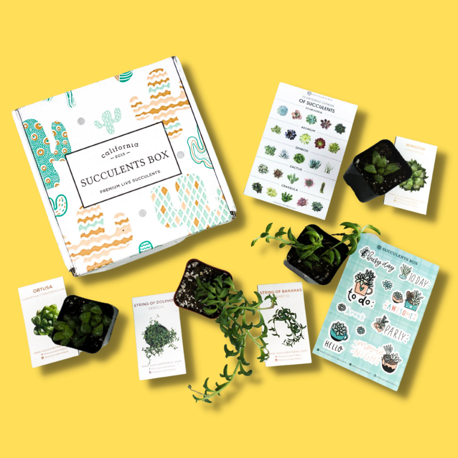 Kiwi Crate Review & Coupon - FUN WITH FLIGHT - Hello Subscription