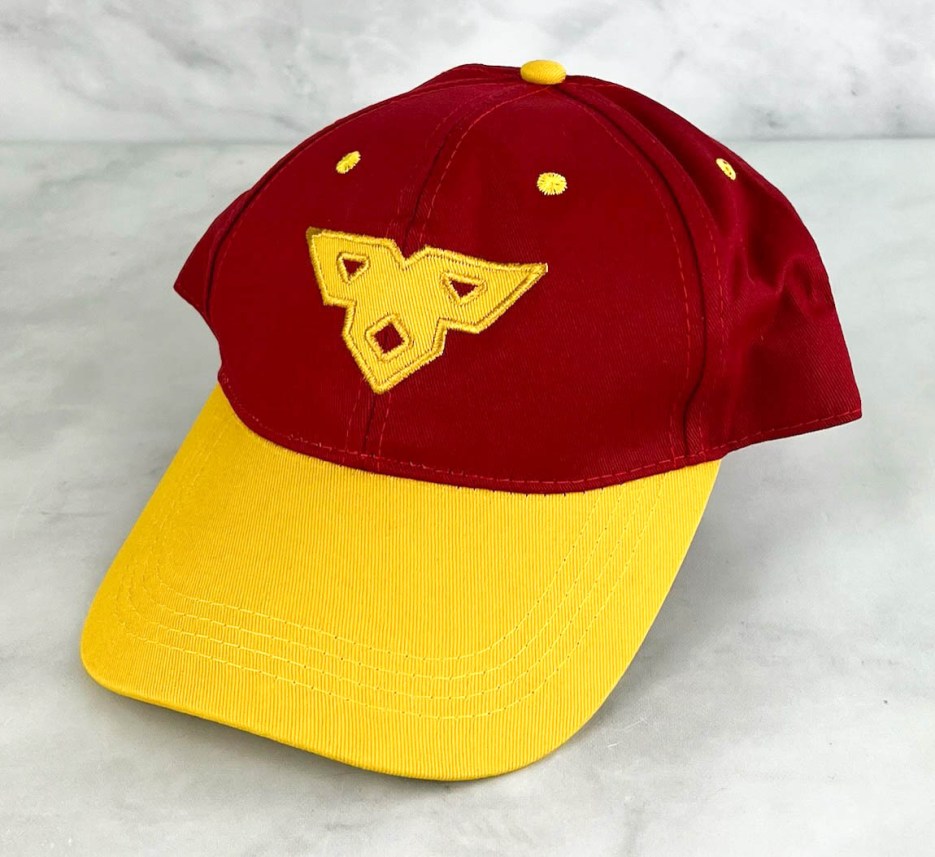 Avatar: The Last Airbender Box Summer 2022 Review - BOOK 3: FIRE ...