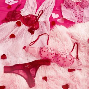 Adore Me Reviews: Get All The Details At Hello Subscription!