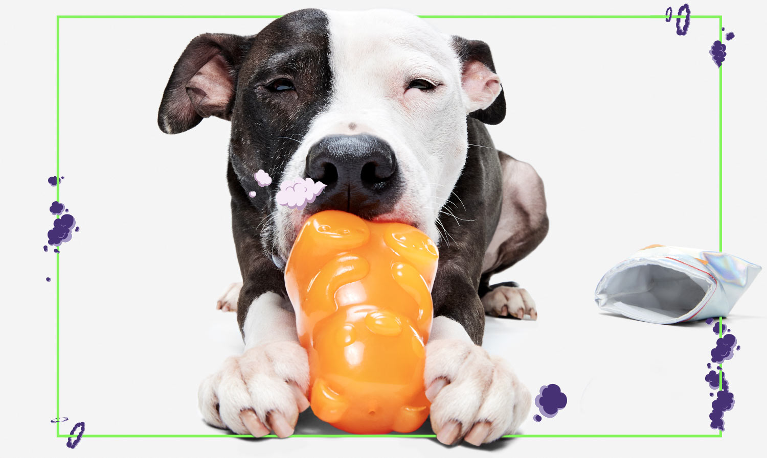 BarkBox & Super Chewer Coupon: Double Your First Box for FREE + 420 ...