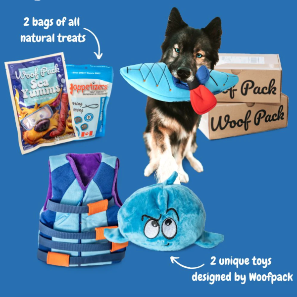 Mark Rober's Hack Pack Cyber Monday Deal: FREE Project with Annual ...