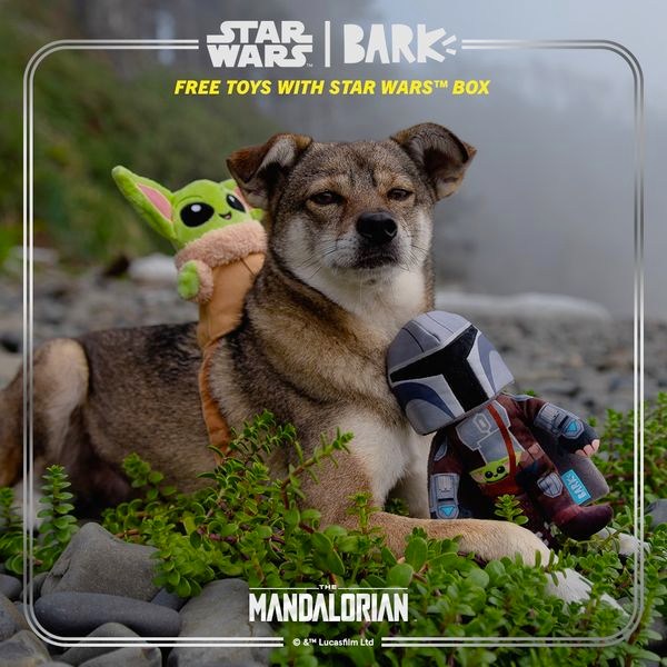 BarkBox & Super Chewer Deal: FREE Star Wars The Mandalorian Toys With ...