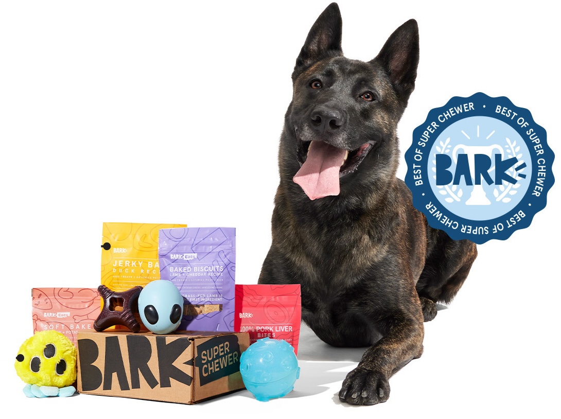 Tough Toys, Happy Pup: Top 5 Reasons to Choose Super Chewer for Your ...