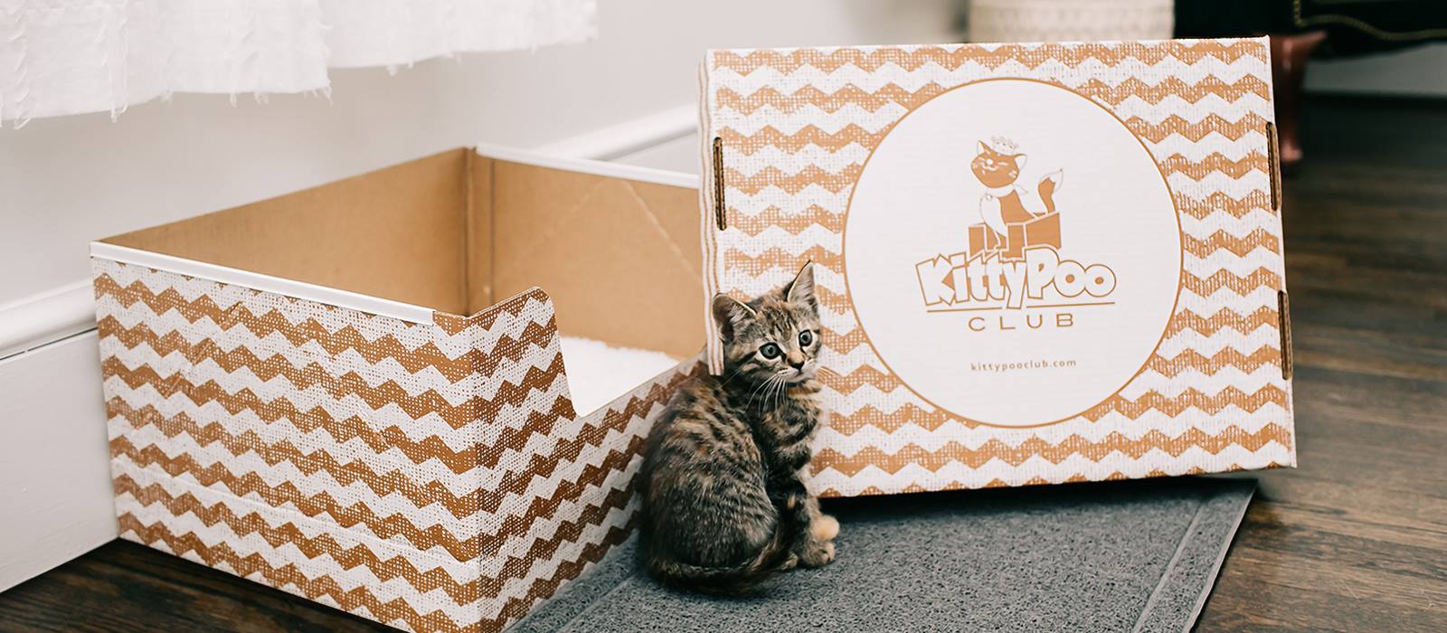 Kitty Poo Club Coupon: 30% Off First Month Cat Litter-In-A-Box! - Hello ...