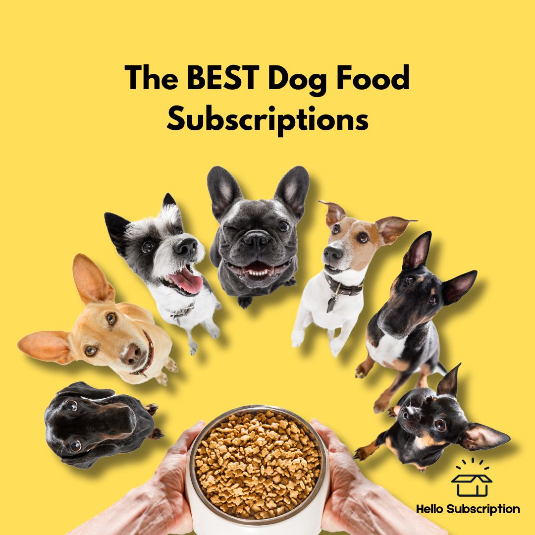 The 11 Best Dog Food Subscriptions for 2026: Customized Dog Meals ...