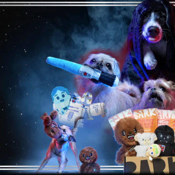 BarkBox Coupon: FREE Cactus Toy Bundle With Subscription! - Hello ...