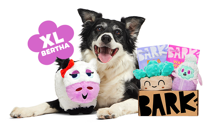 BarkBox & Super Chewer Coupon: FREE Big Bertha The Cow Toy With First ...