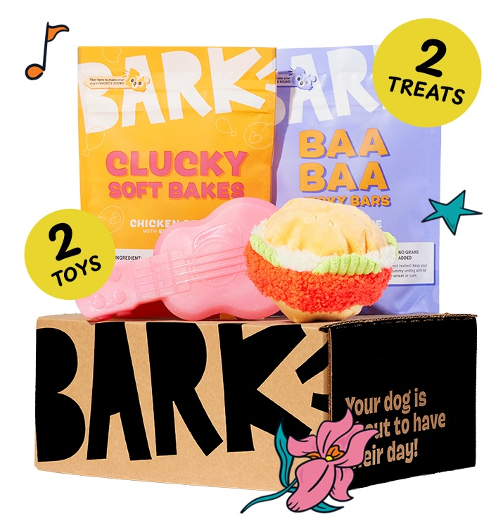 BarkBox & Super Chewer Coupon: First Box of Dog Toys and Treats For ...