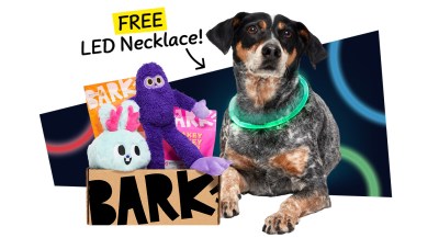 BarkBox Super Chewer Coupon: Get FREE Squirrel Toy With Subscription ...