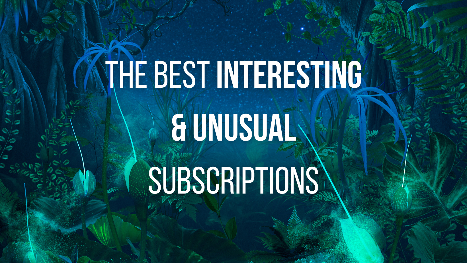 The 10 Best Interesting and Unusual Subscriptions for 2025 - Hello ...