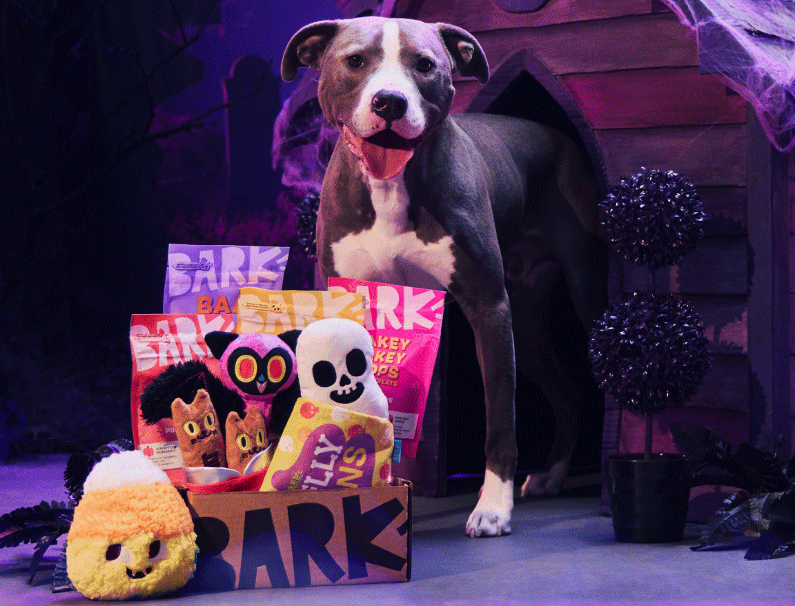 BarkBox & Super Chewer Coupon: Double Your First Box for FREE + Lick OR ...