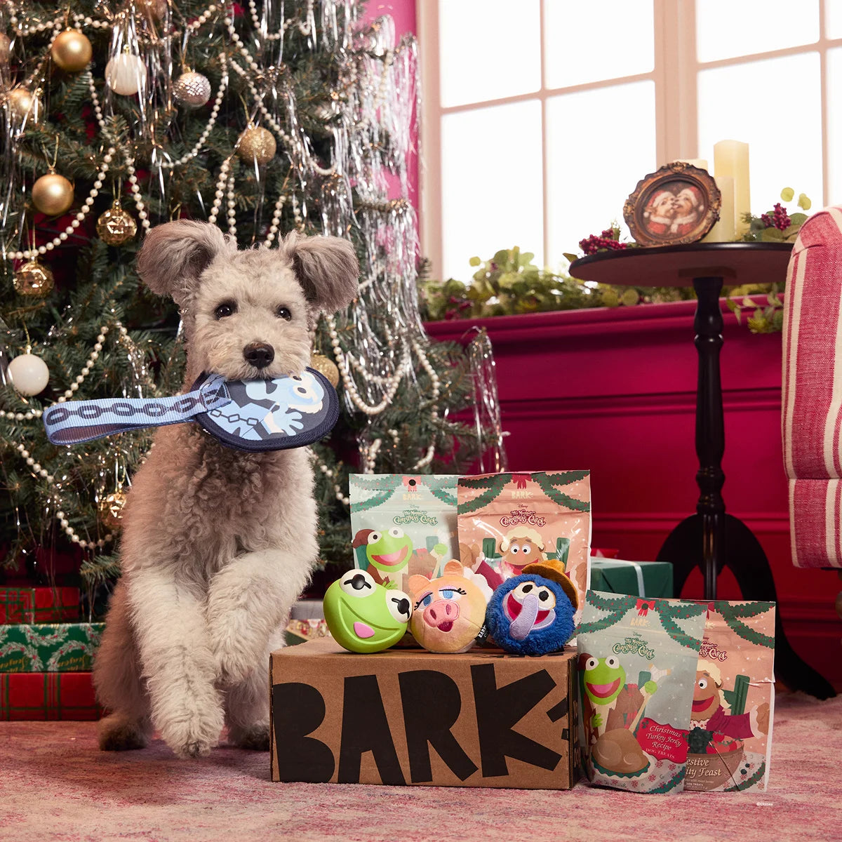 BarkBox & Super Chewer Coupon: First Box Double Deluxe Deal + The ...