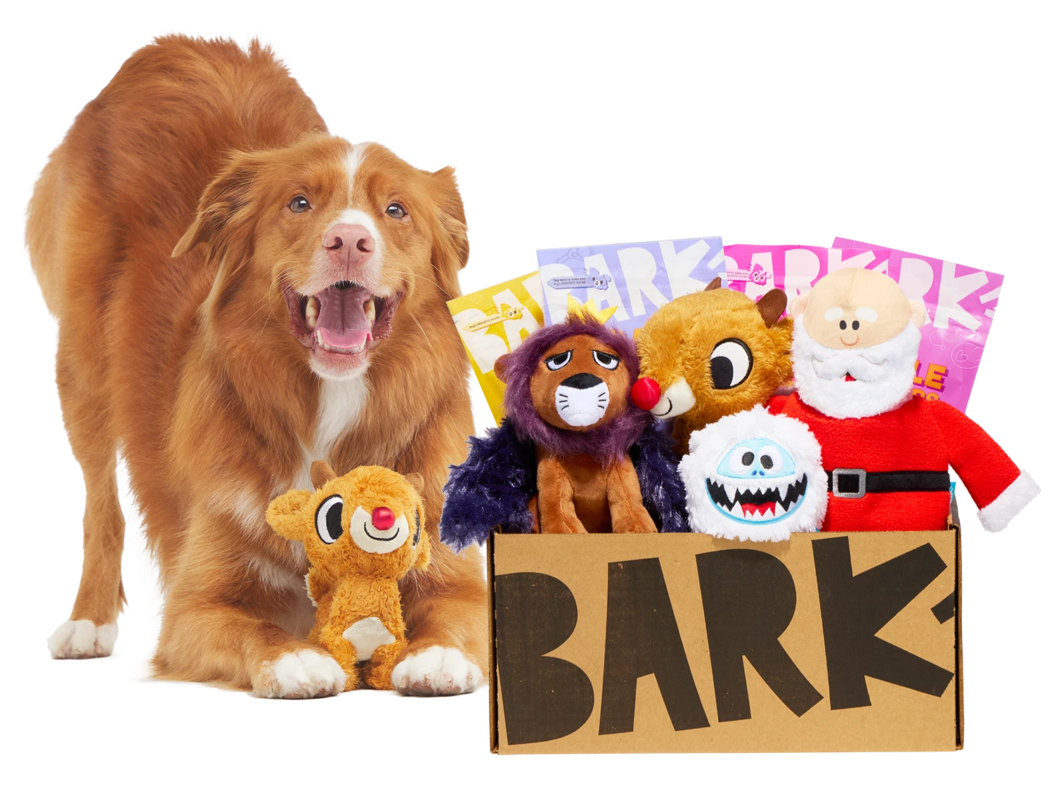 BarkBox & Super Chewer Coupon: Double Your First Box for FREE + Rudolph ...