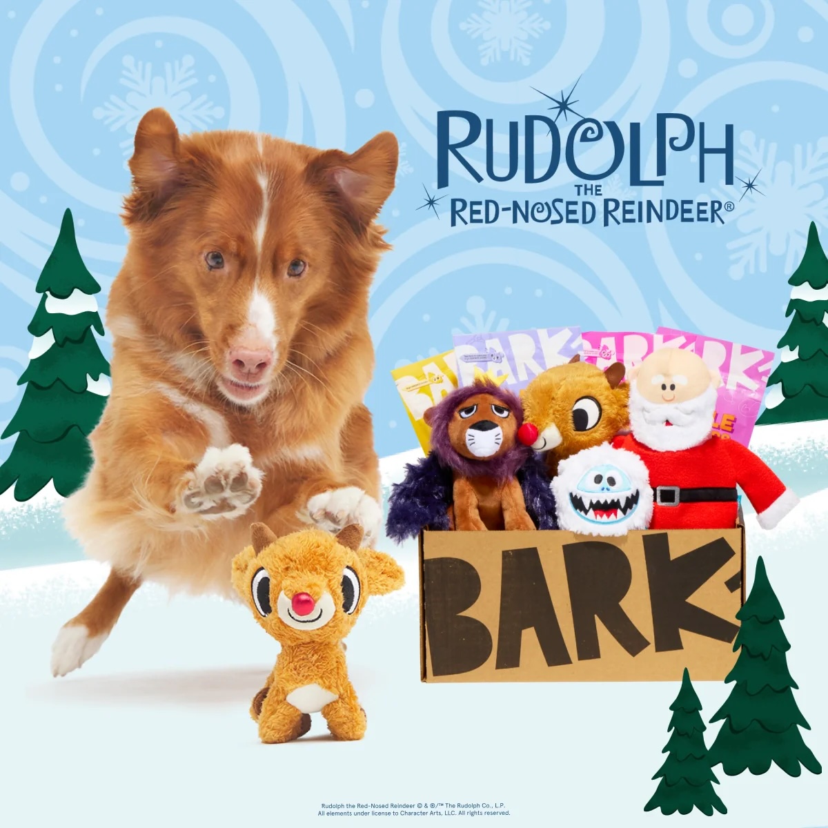 BarkBox & Super Chewer Coupon: Double Your First Box for FREE + Rudolph ...