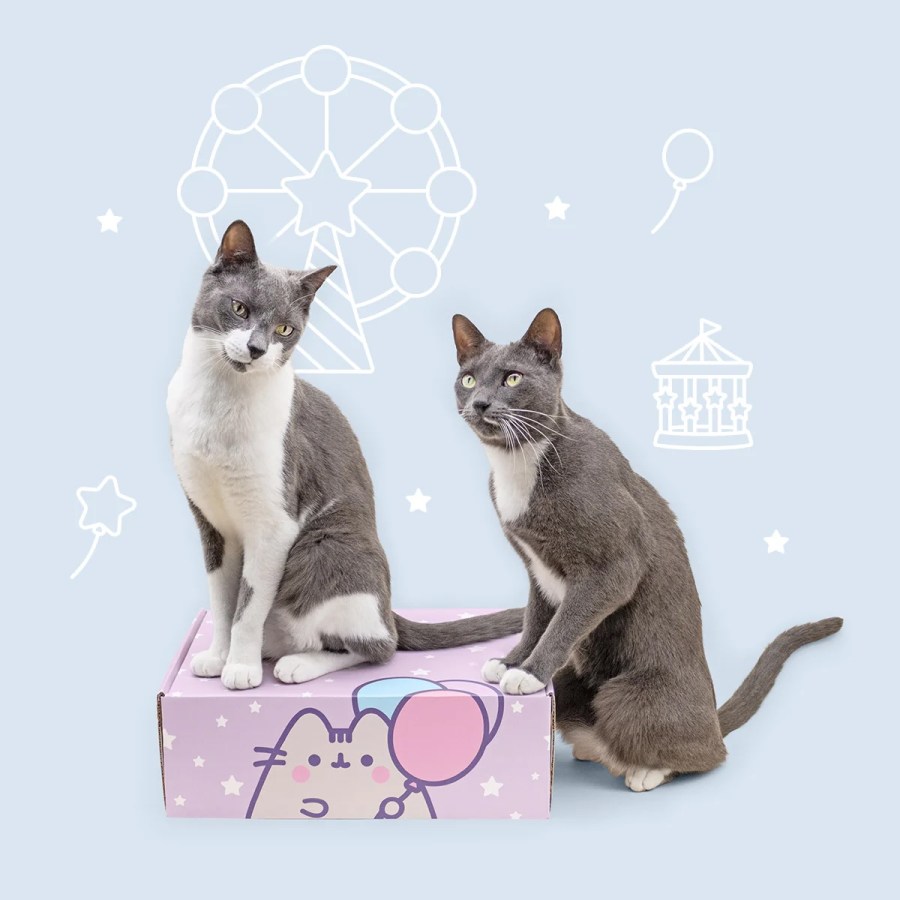 Cat Kit by Pusheen Box Spring 2025 Full Spoilers! - Hello Subscription