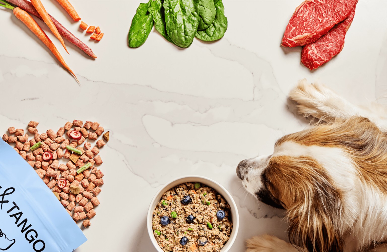 Spot and Tango Coupon: Get 50% Off First Week Premium Dog Food! - Hello ...