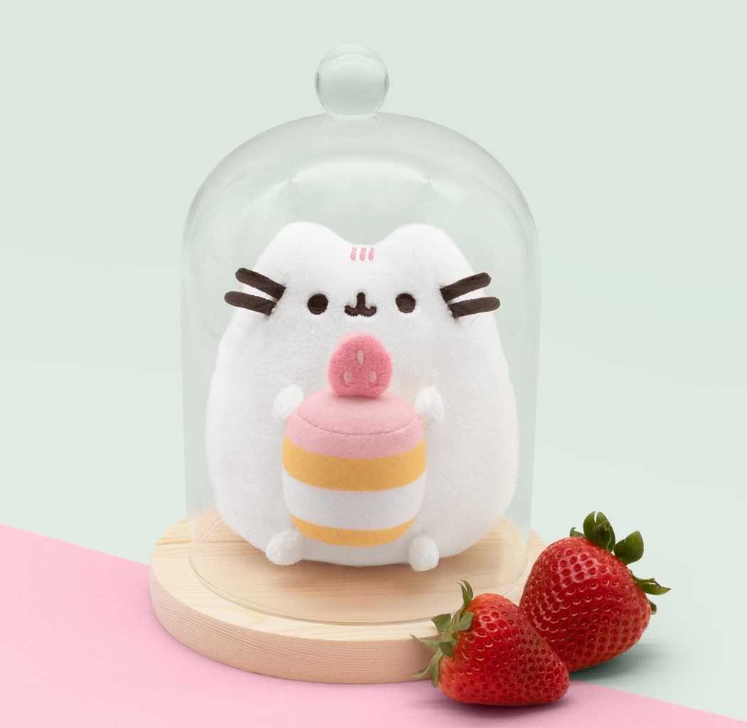 Pusheen Box Summer 2025 Full Spoilers! - Hello Subscription