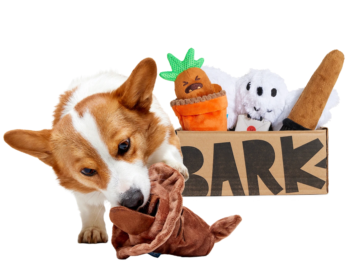 BarkBox Coupon: FREE Sorting Hat Toy + Limited Edition Harry Potter Box ...