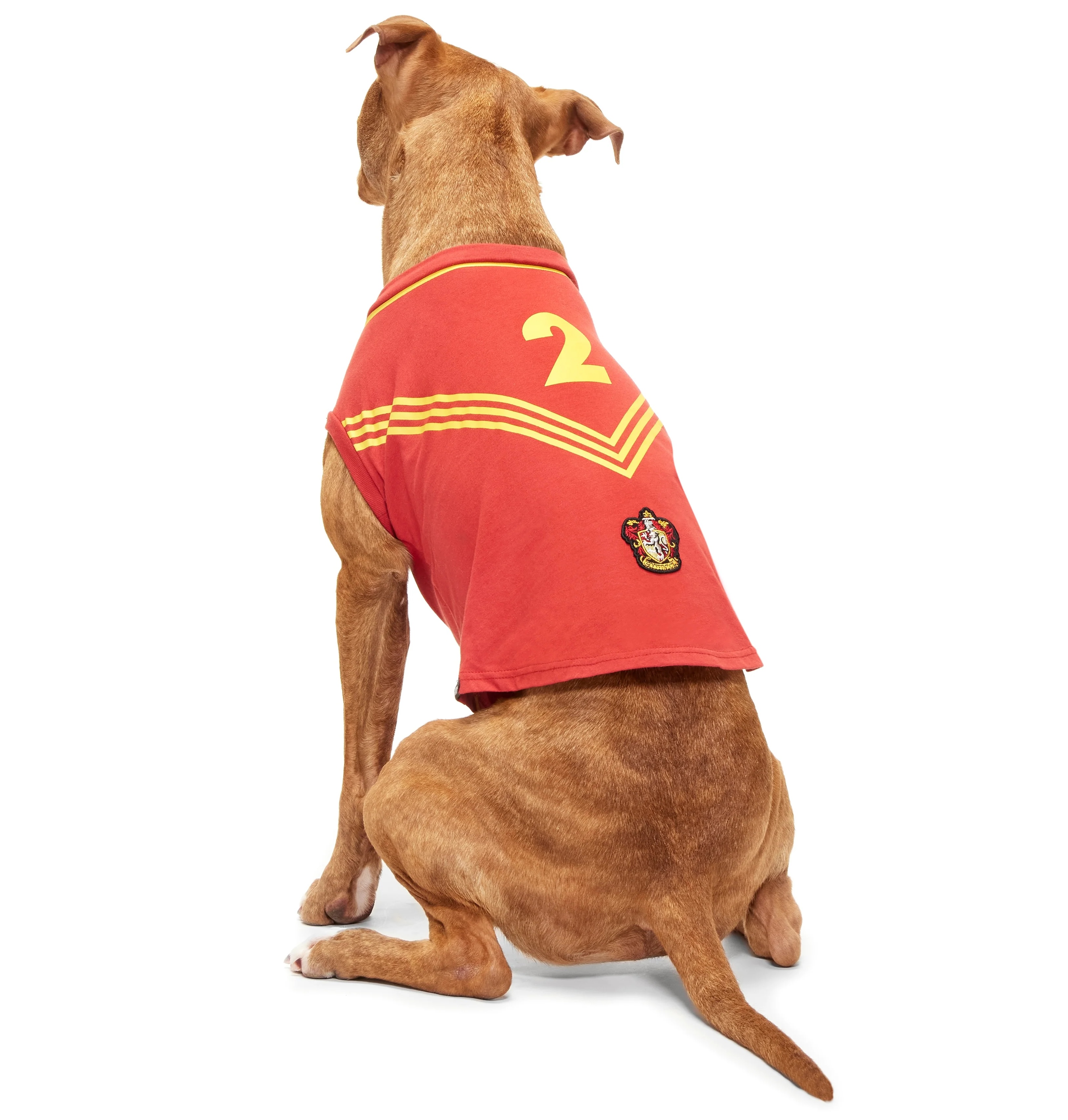 Super Chewer Coupon: FREE Quidditch™ Dog Jersey + Limited Edition Harry Potter Box! - Hello ...