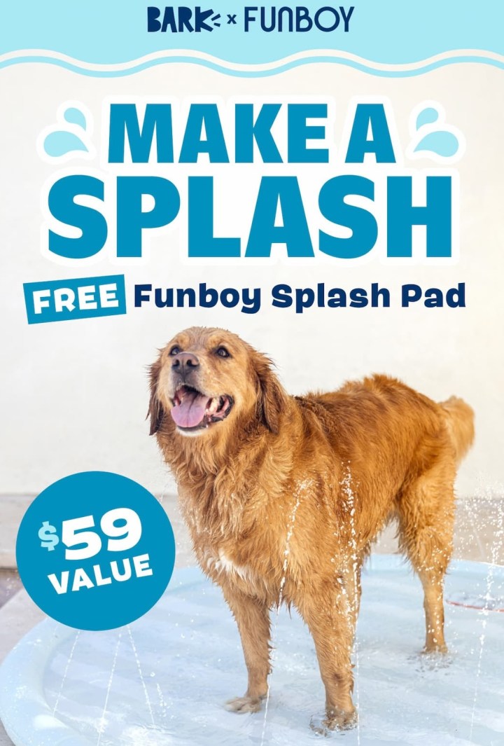 BarkBox x Funboy Dog Splash Pad: The Ultimate Summer Toy for Your Pup ...