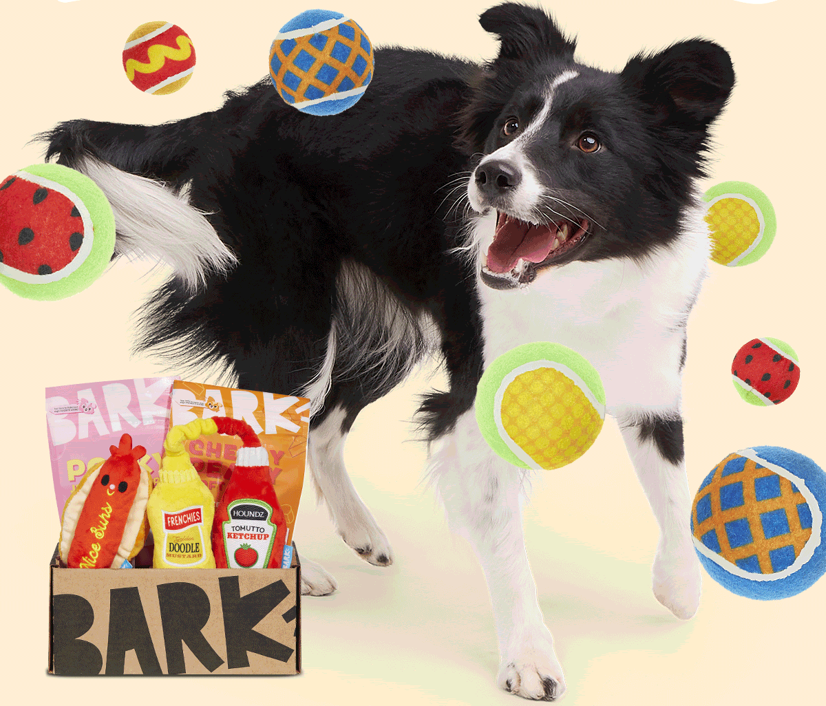 BarkBox & Super Chewer Deal: FREE Ball-B-Q Bundle With First Box of ...