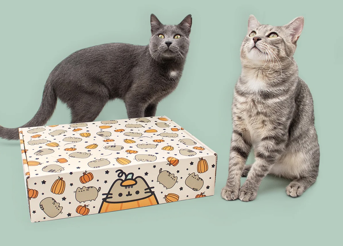 Cat Kit by Pusheen Box Fall 2025 Spoilers! - Hello Subscription