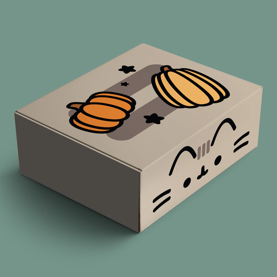 Pusheen Box Fall 2025 Full Spoilers! - Hello Subscription