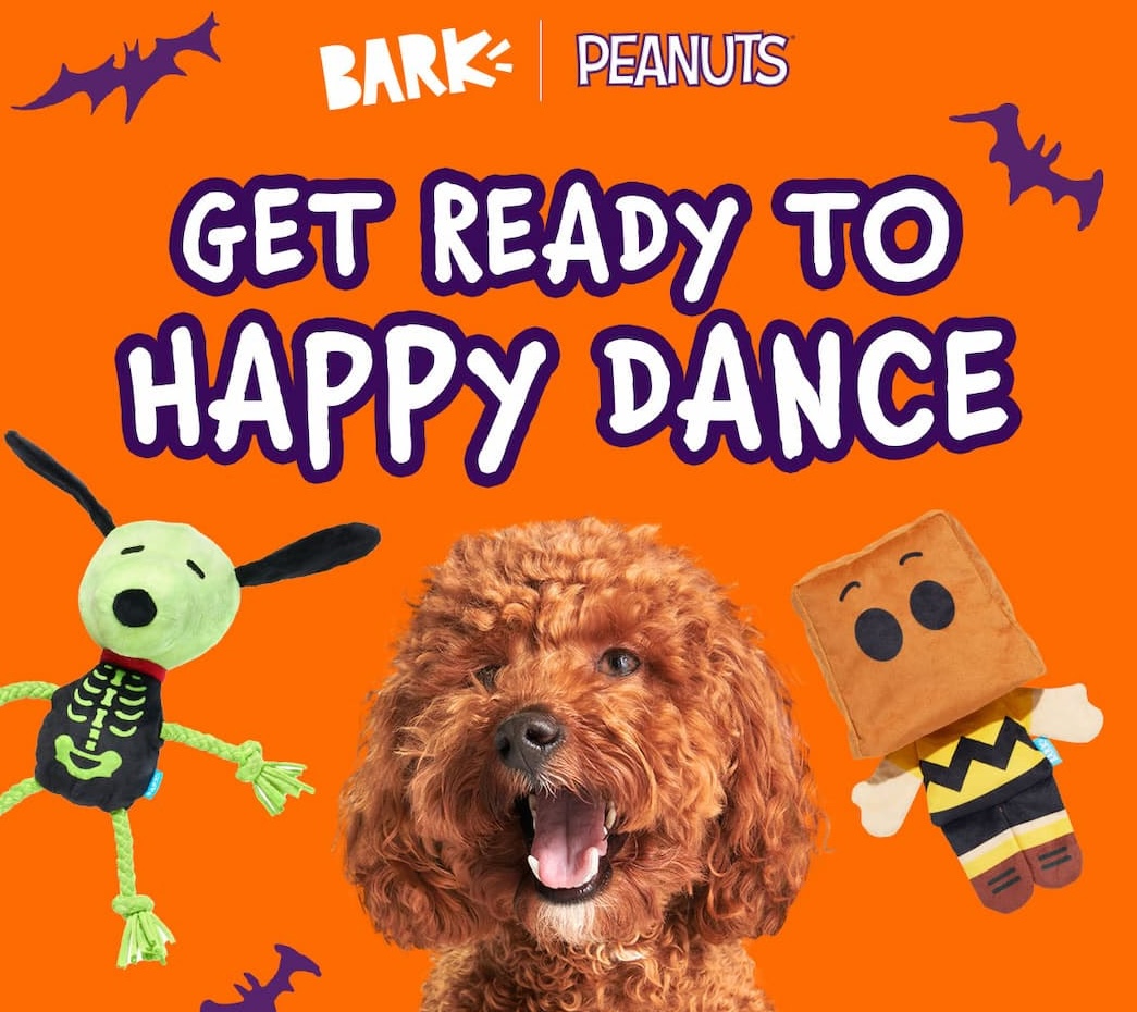 BarkBox Coupon: FREE Peanuts Bundle With First Box of Dog Toys and ...