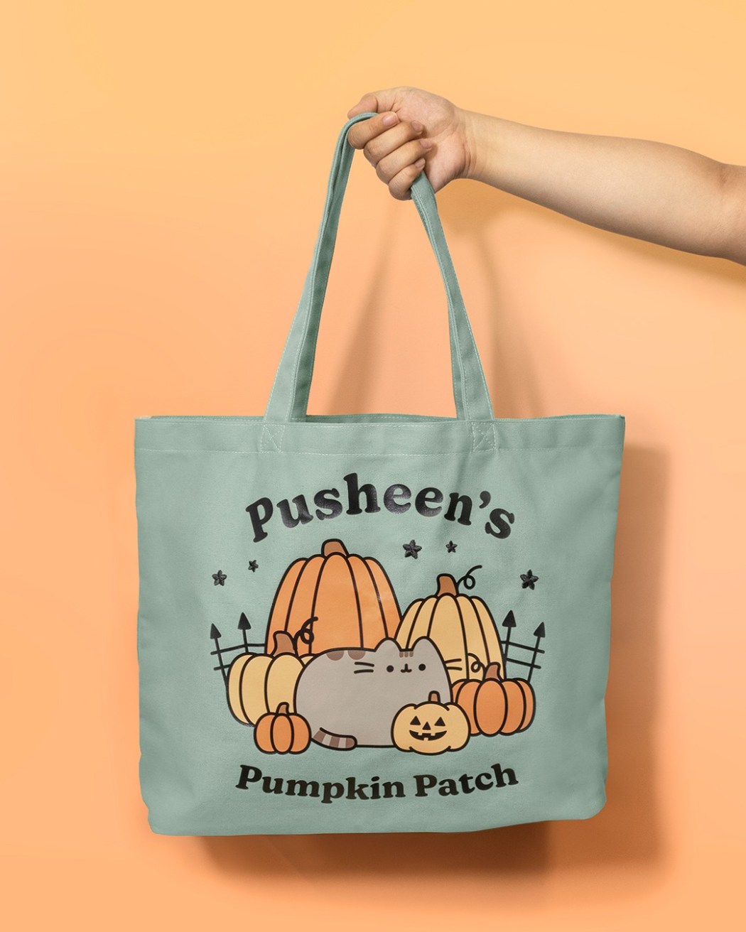 Pusheen Box Fall 2025 Full Spoilers! - Hello Subscription