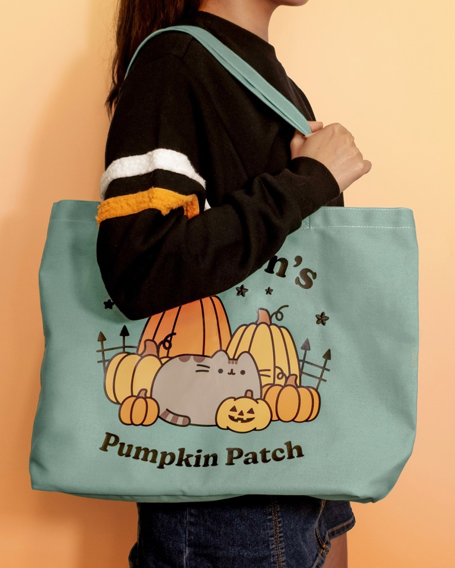 Pusheen Box Fall 2025 Full Spoilers! - Hello Subscription