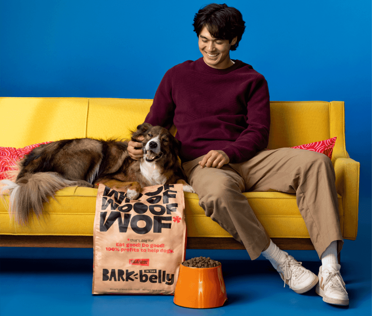BarkBox & Super Chewer Deal: FREE BARK in the Belly Premium Dog Food ...