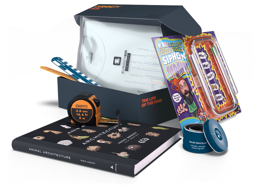 The Curiosity Box Fall 2025 Spoilers! - Hello Subscription