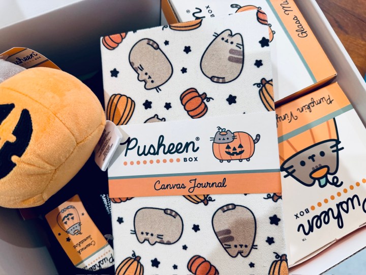 Pusheen Box Fall 2025 Full Spoilers! - Hello Subscription