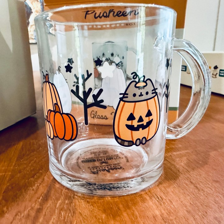 Pusheen Box Fall 2025 Full Spoilers! - Hello Subscription