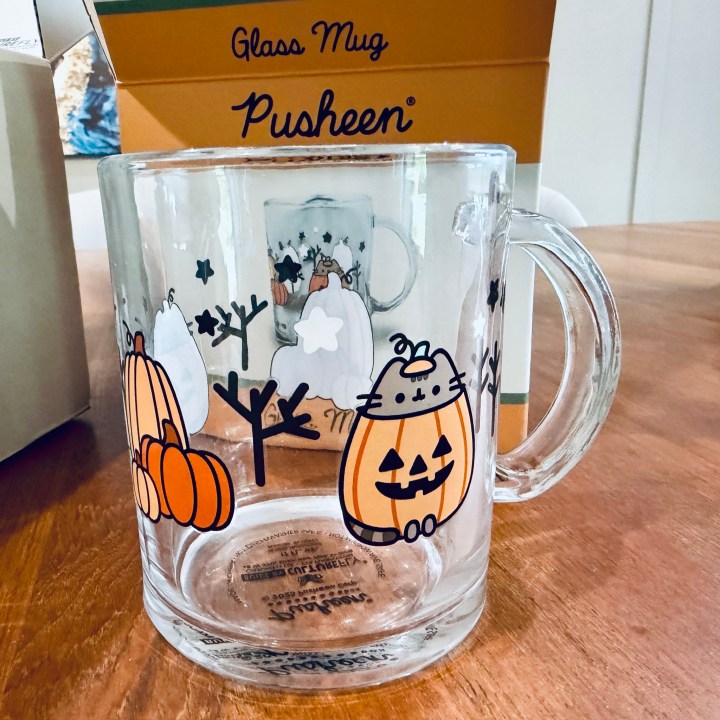 Pusheen Box Fall 2025 Full Spoilers! - Hello Subscription