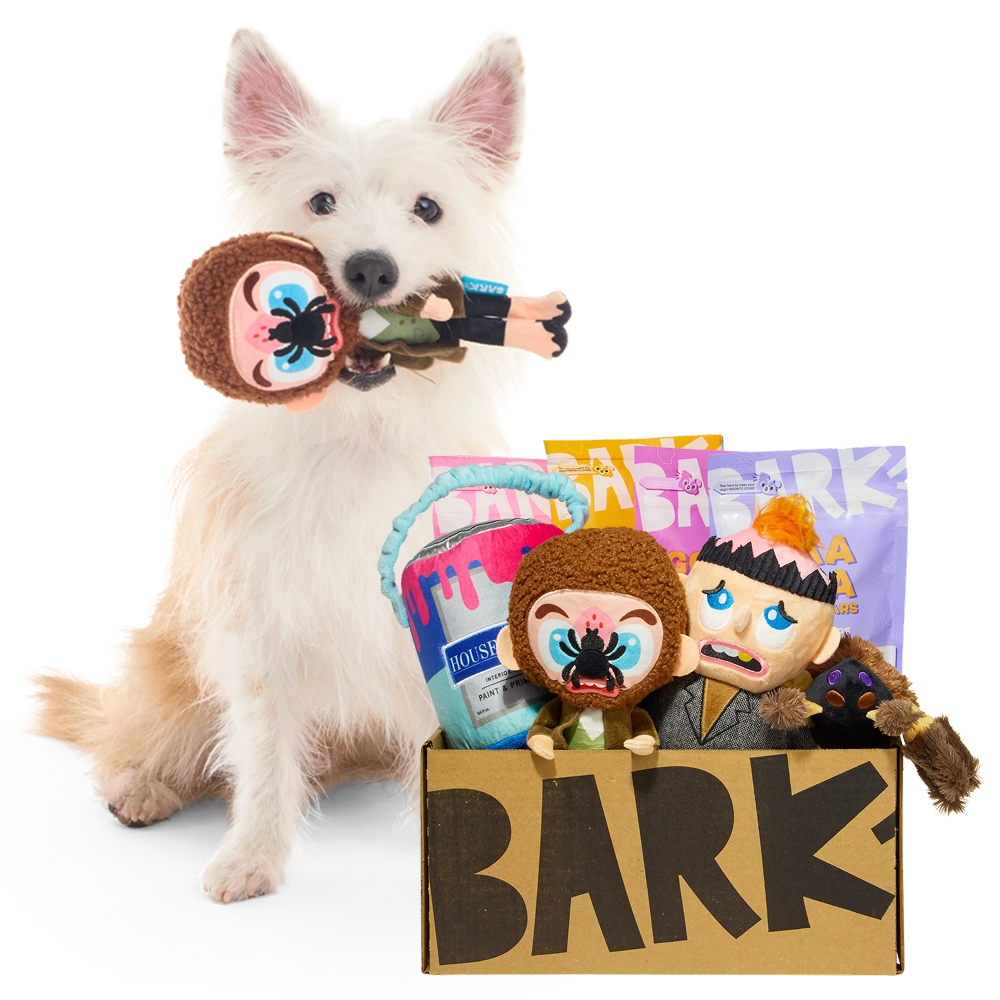 BarkBox & Super Chewer Coupon: First Box Double Deluxe Deal + Home ...