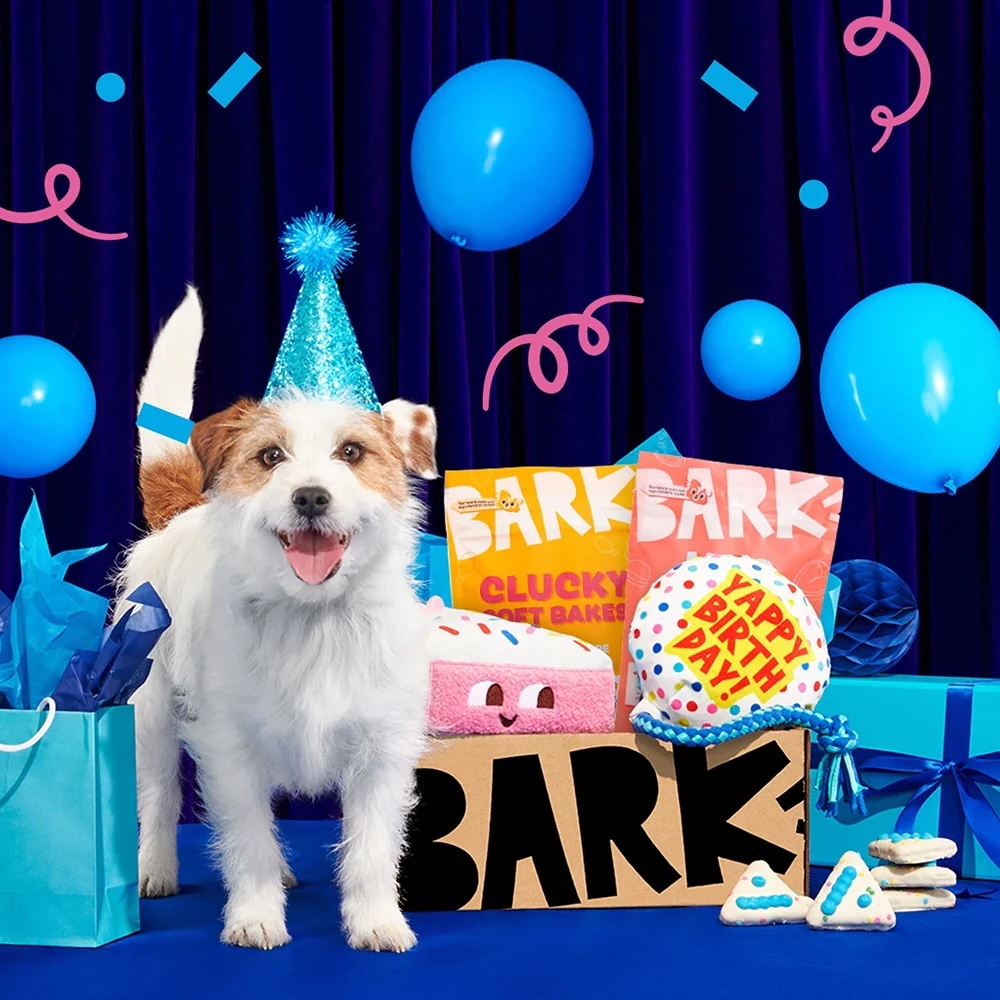 BarkBox & Super Chewer Coupon: First Box Double Deluxe Deal + Limited ...