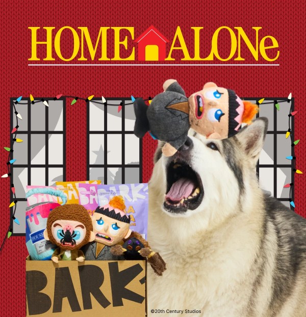 BarkBox & Super Chewer Coupon: First Box Double Deluxe Deal + Home ...