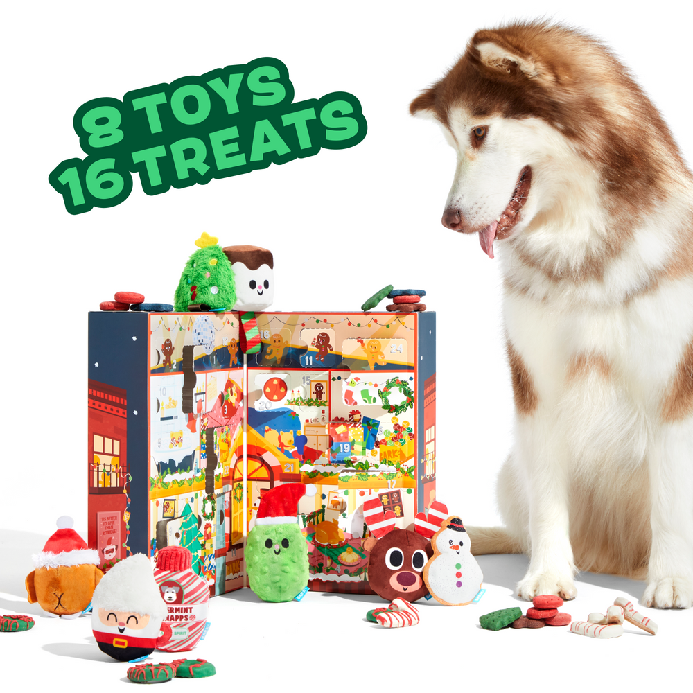 BarkBox Dog Toys and Treats Advent Calendar: Season’s Treatings ...