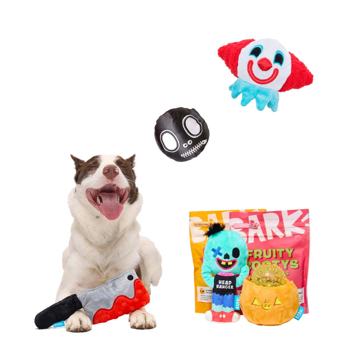 BarkBox & Super Chewer Deal: FREE Down To Clown Bundle With First Box ...