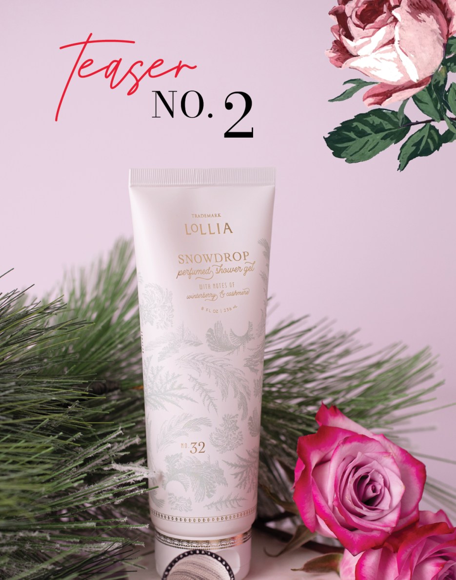 Margot Elena Discovery Box Winter 2025 Spoilers! - Hello Subscription